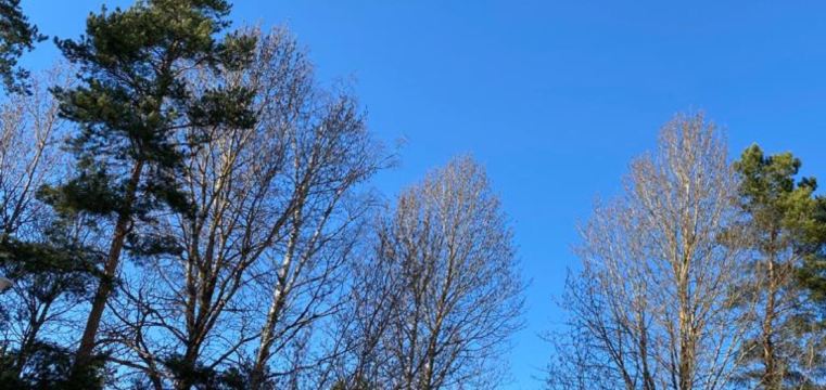 Things to do in Buikwe (2025): Top nearby activities,popular ...