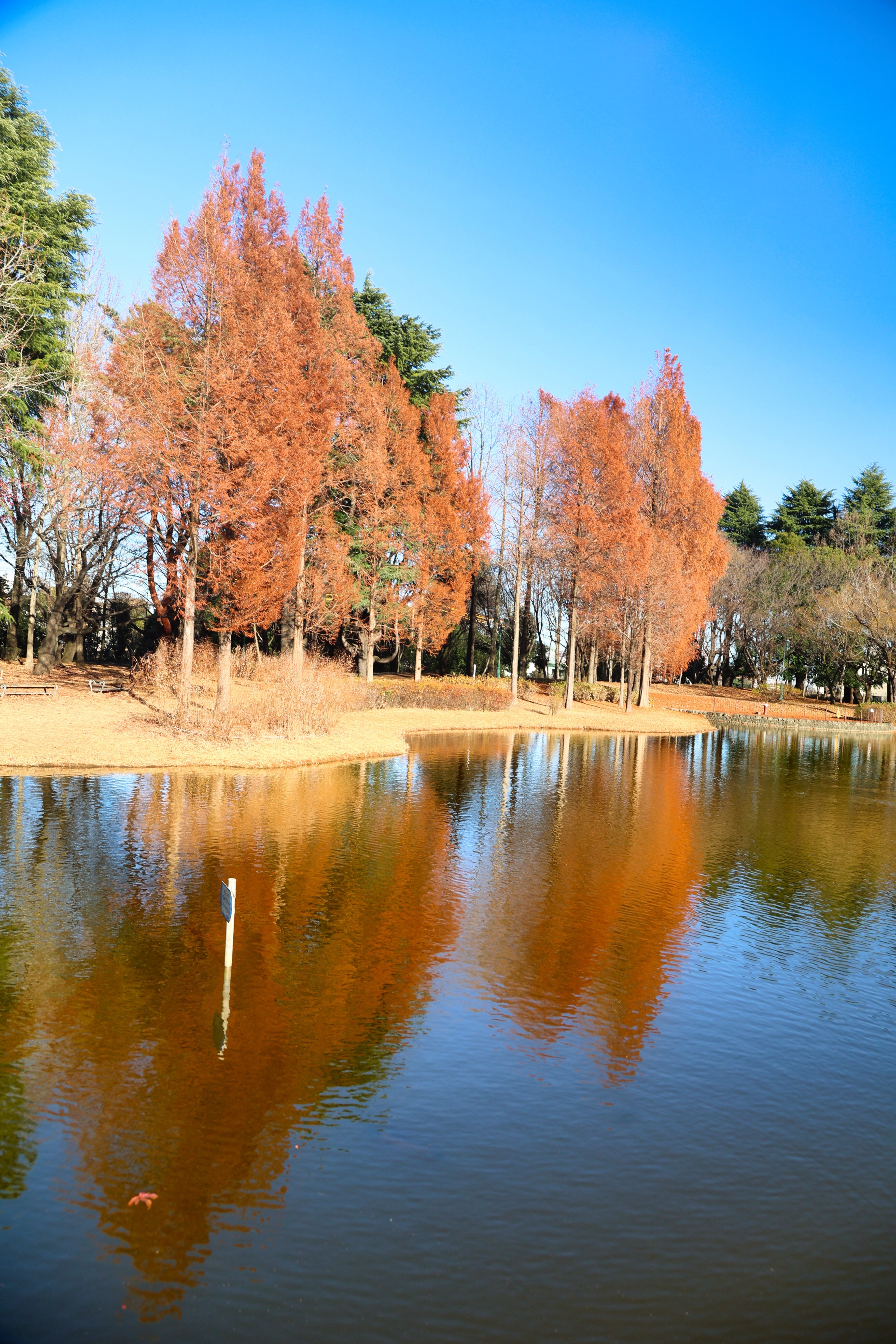 Closest Hotels Near Iruma Air Base - Sayama | Trip.com