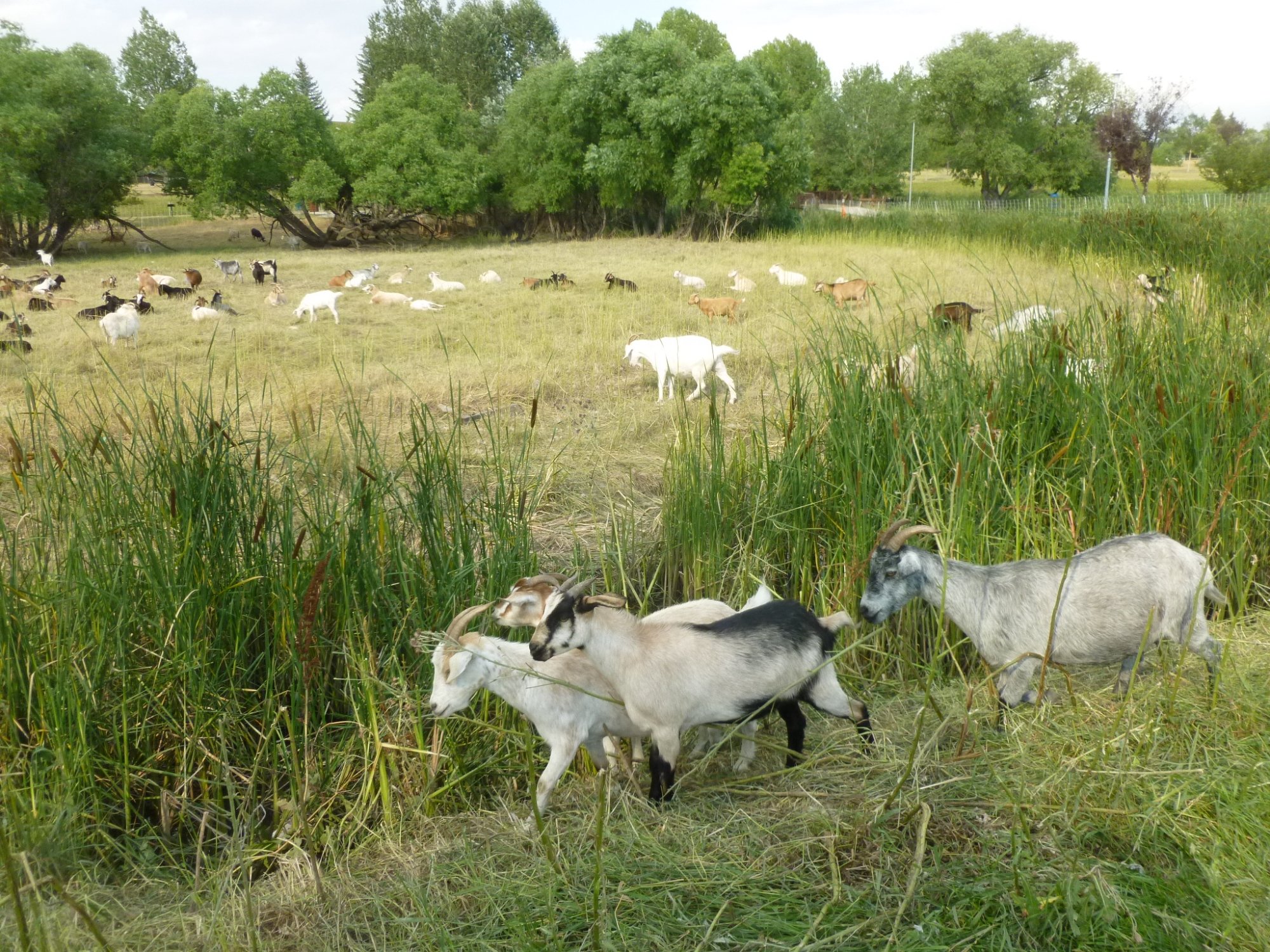 réductions sur les billets de Mylar Park, prix et frais, réservations ...