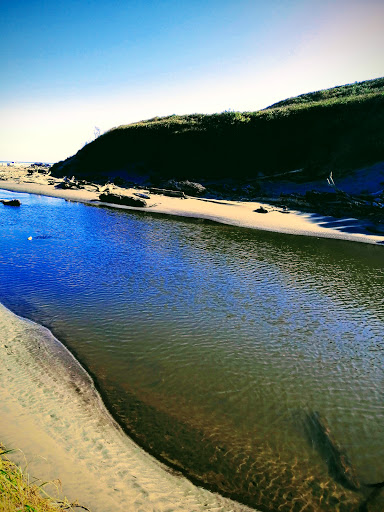 Palmerston North Surf Life Saving Club Tickets [2026] - Promos, Prices ...