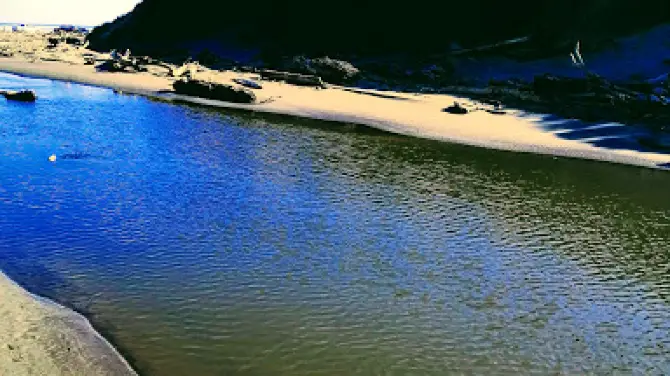 Palmerston North Surf Life Saving Club Tickets [2026] - Promos, Prices ...