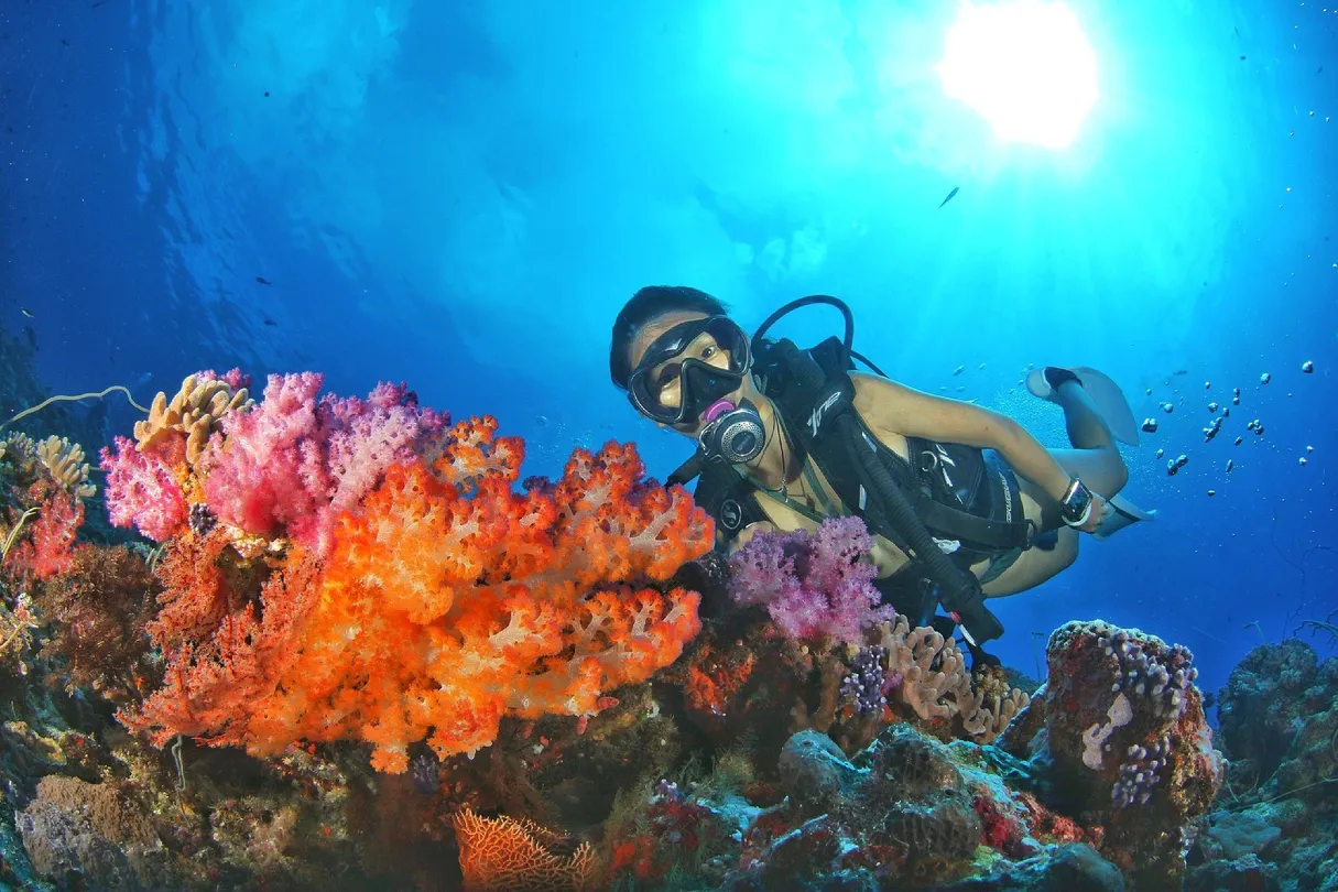 Palau Ocean Divers Tickets [2025] - Promos, Prices, Reviews & Opening ...