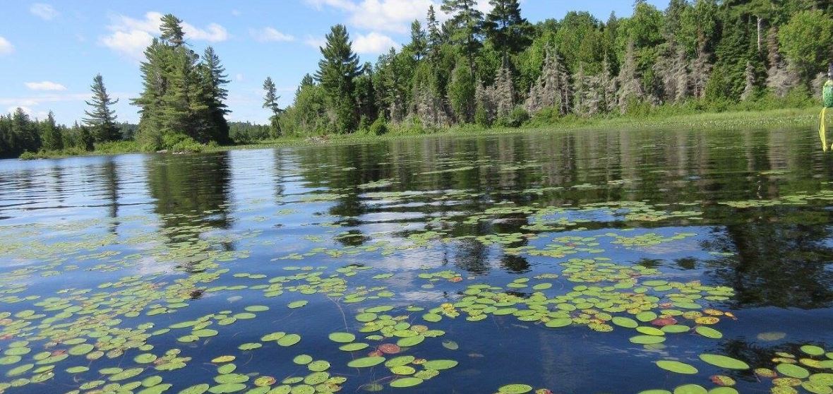 Temagami Travel Guide 2026: Top Attractions, Things to Do & Deals ...