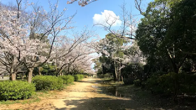 réductions sur les billets de Kasei Park Motowaki Ground, prix et frais ...