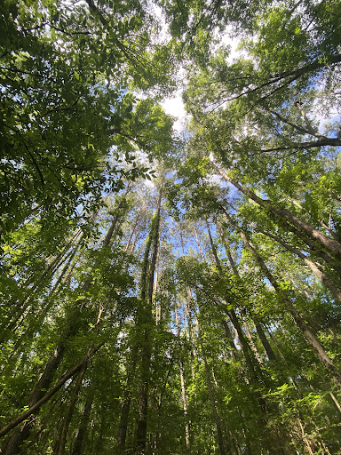 Little Creek Trail System Tickets [2026] - Promos, Prices, Reviews ...