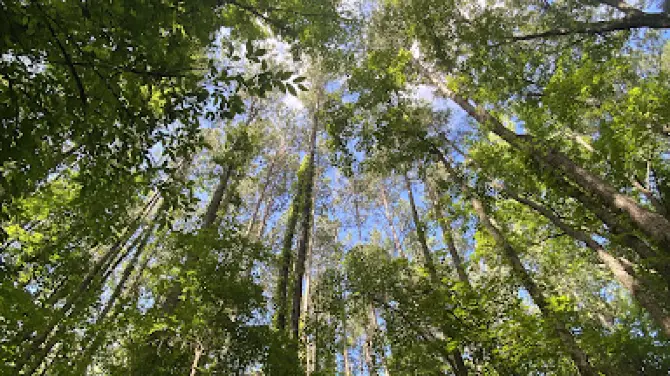 Little Creek Trail System Tickets [2026] - Promos, Prices, Reviews ...