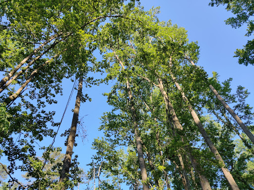 【最新】LINC トレイル - チケット、営業時間、口コミ、写真 [2025年] Trip.com