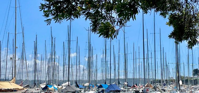 Darling Point Travel Guide 2026: Top Attractions, Things to Do & Deals ...