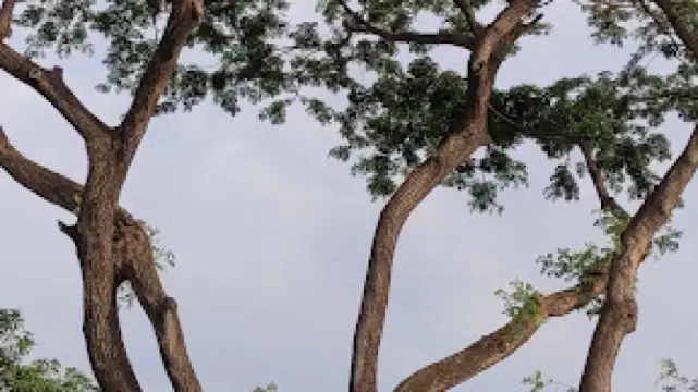 Y Cancha De Volley De La Etapa X Park Tickets [2025] - Promos, Prices ...