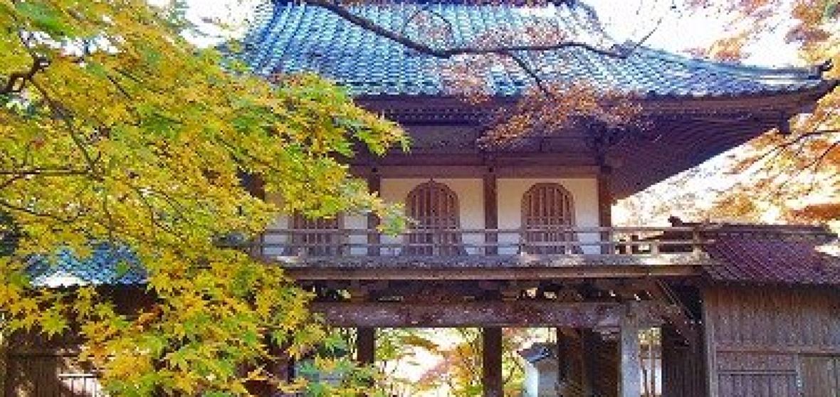 Tamba Travel Guide 2026: Top Attractions, Things to Do & Deals | Trip ...