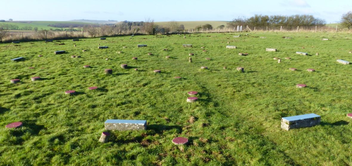 Things to Do in West Overton in 2025 - Top Attractions, Local Food ...