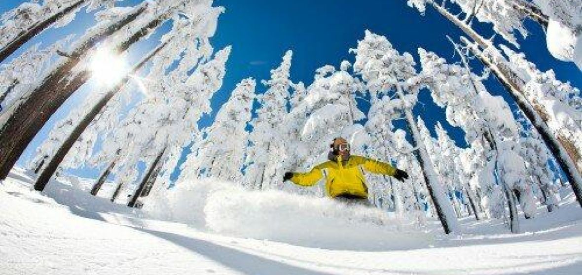 Linn County Travel Guide 2026: Top Attractions, Things to Do & Deals ...