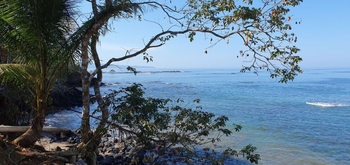 Sona Travel Guide 2026: Top Attractions, Things to Do & Deals | Trip ...