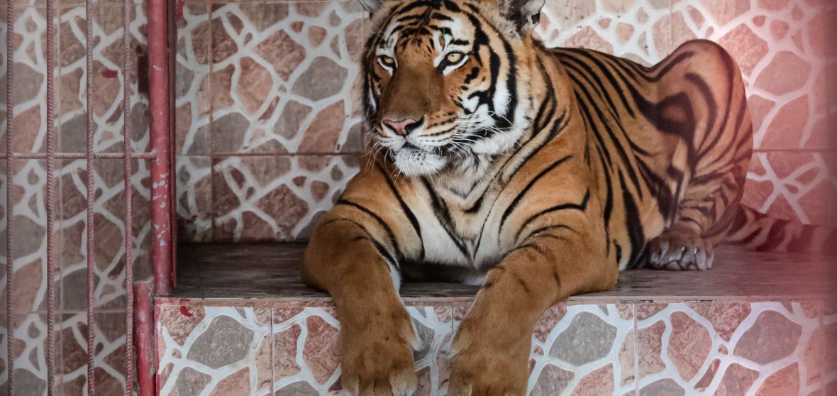 Things to do in Barka (2025): Top nearby activities,popular attractions ...