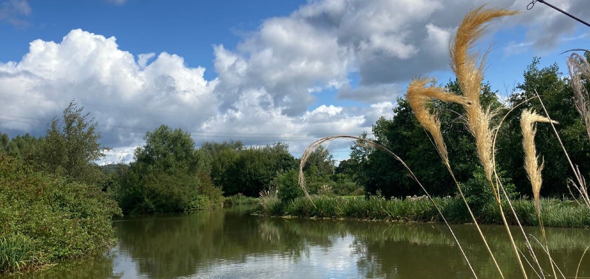 Rudry Travel Guide 2025: Top Attractions, Things to Do & Deals | Trip ...