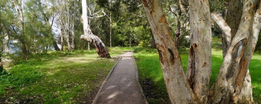 Things to do in Lemon Tree Passage (2025): Top nearby activities ...