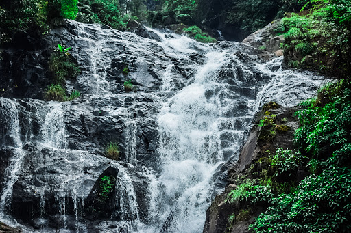 réductions sur les billets de Tambdi Surla Waterfalls, prix et frais ...