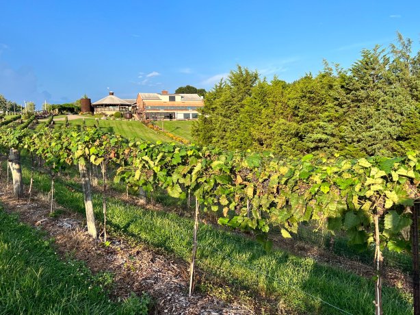 The 10 BEST Hampton by Hilton Properties in Hamilton County | Trip.com