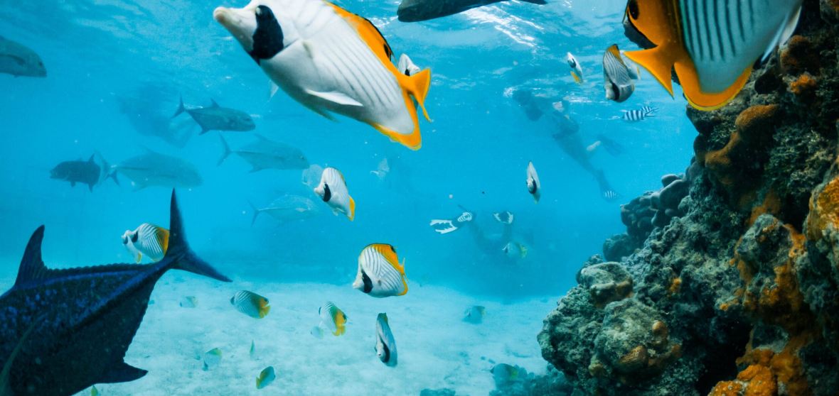 Things to do in Takitumu (2025): Top nearby activities,popular ...