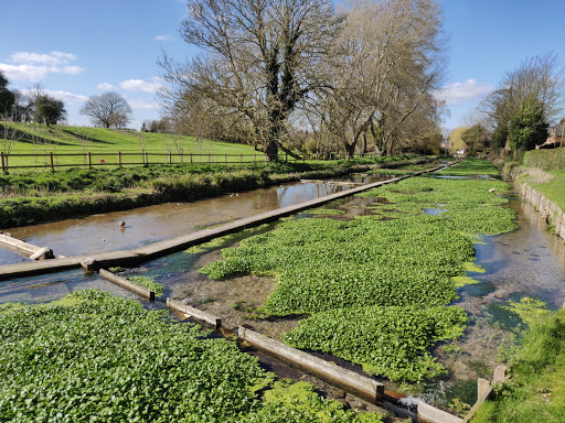 Ewelme Watercress Beds & Local Nature Reserve Tickets [2025] - Promos ...