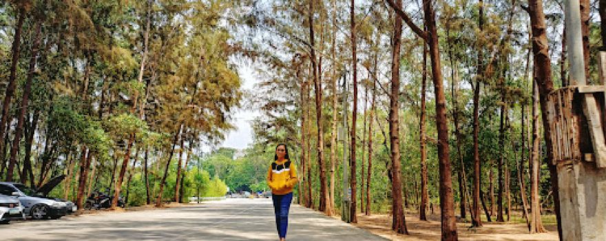 Agoo independent travel guide (2025): top things to do near you ...