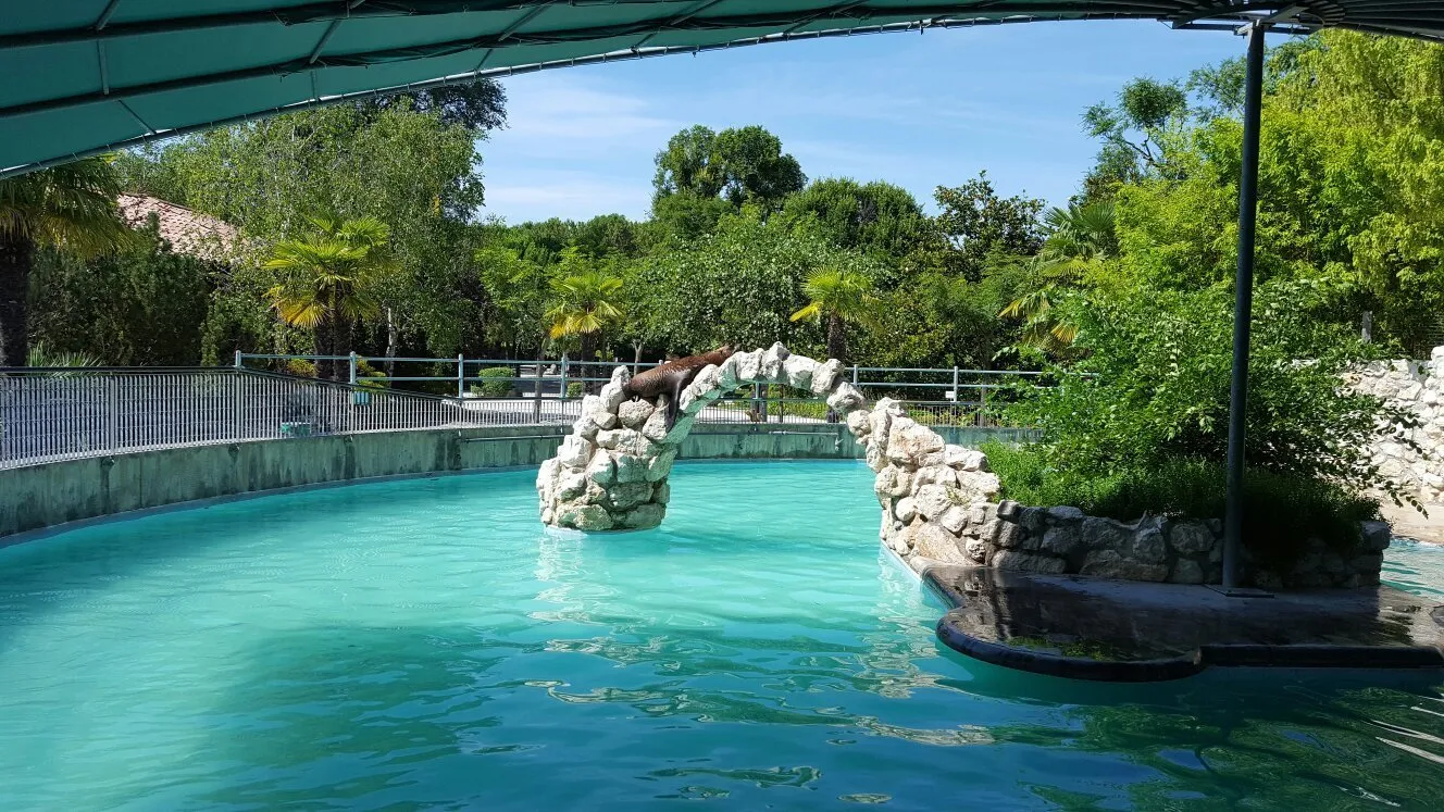 sconti sui biglietti, prezzi e tariffe, prenotazioni per Parco Zoo ...