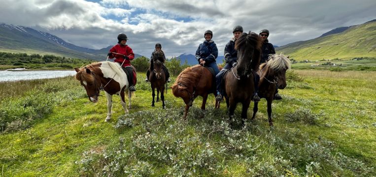 Dalvik : guide de voyage indépendant (2025). Meilleures choses à faire dans les environs ...