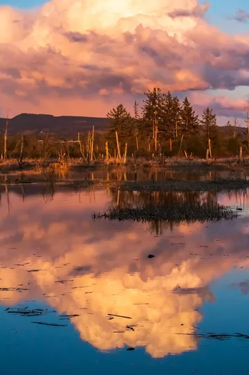 Skagit Wildlife Area-Wiley Slough Tickets [2025] - Promos, Prices ...