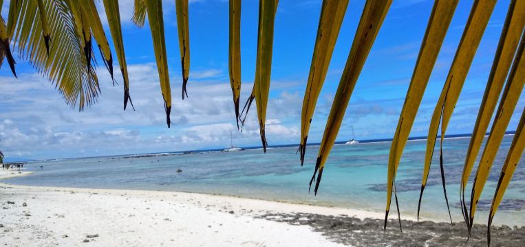 Tetiaroa Travel Guide 2026: Top Attractions, Things to Do & Deals ...