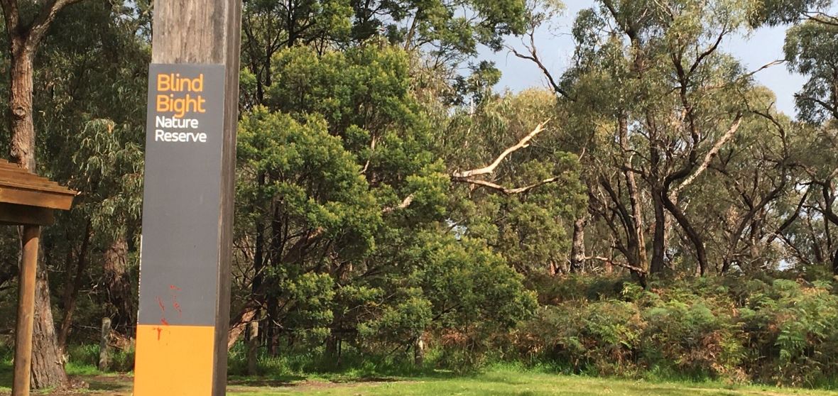 Things to Do in Blind Bight in 2025 - Top Attractions, Local Food ...