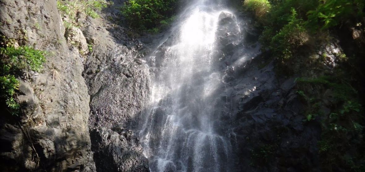 Purworejo Regency Travel Guide 2025: Top Attractions, Things to Do ...