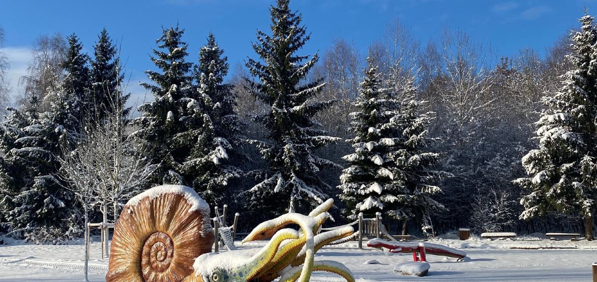 Things to Do in Denkendorf in 2025 - Top Attractions, Local Food ...
