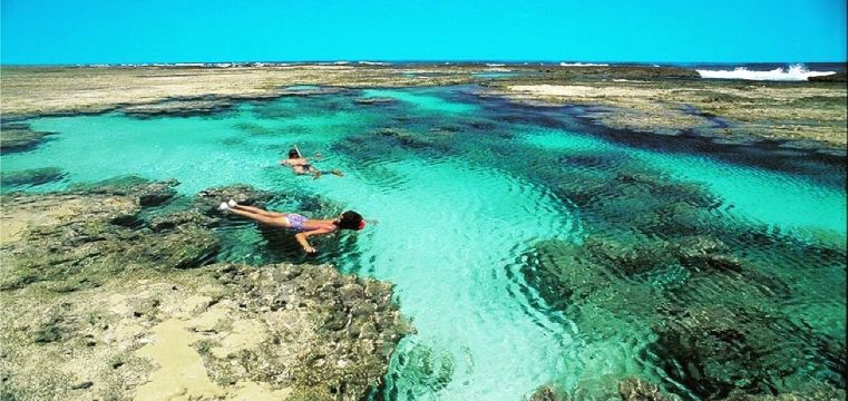 Praia Do Forte Travel Guide 2026: Top Attractions, Things to do ...