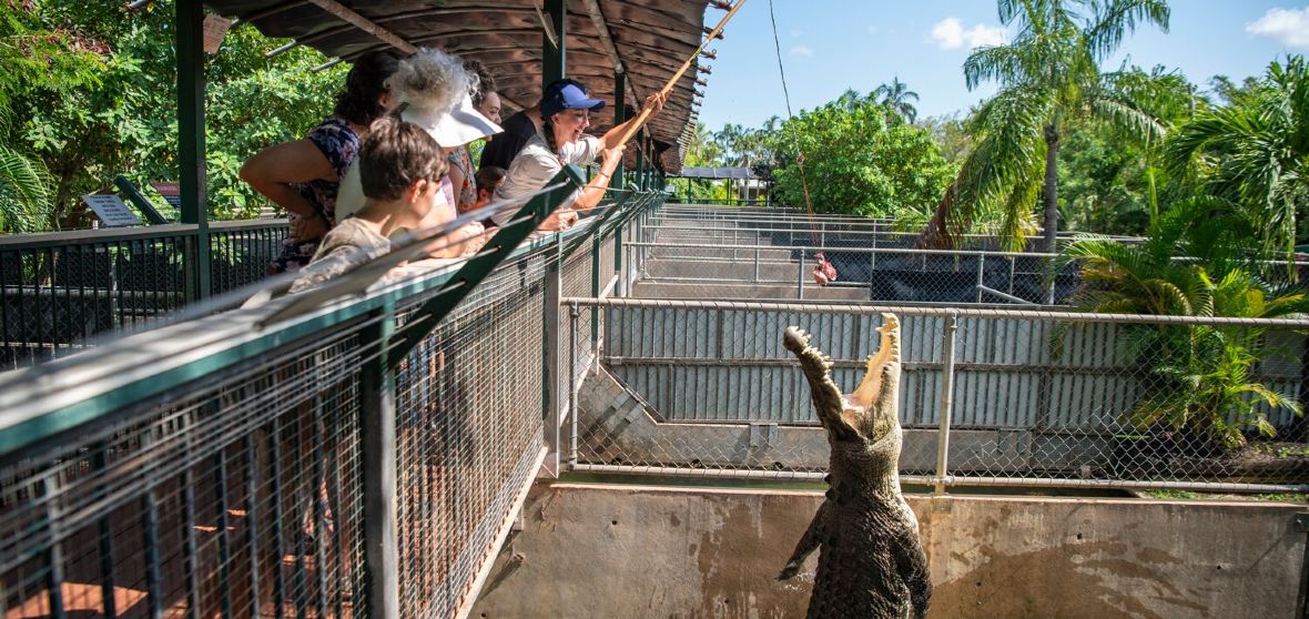 Things to do in Knuckey Lagoon (2025): Top nearby activities,popular ...