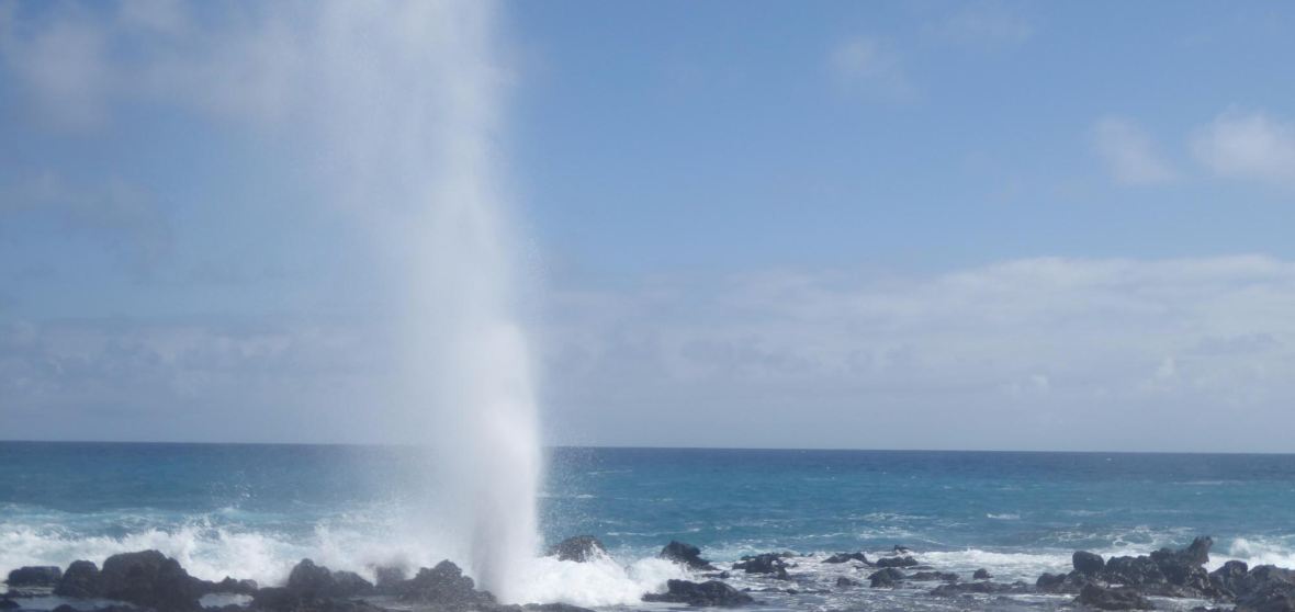 Things to Do in Smelser in 2025 - Top Attractions, Local Food, Hotels ...