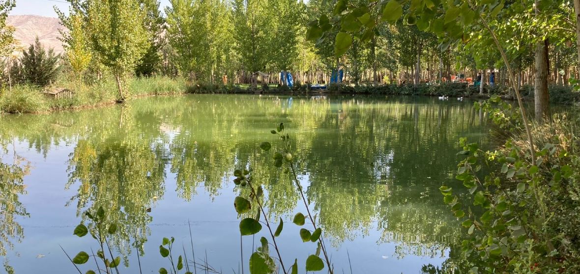 Things to do in Kfar Zabad (2025): Top nearby activities,popular ...