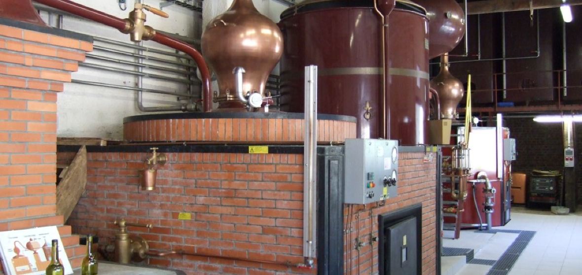 Things to Do in Notre-Dame-de-Courson in 2025 - Top Attractions, Local ...