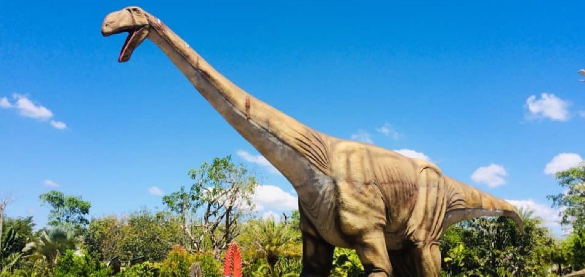 Dannok Travel Guide 2025: Top Attractions, Things to Do & Deals | Trip ...