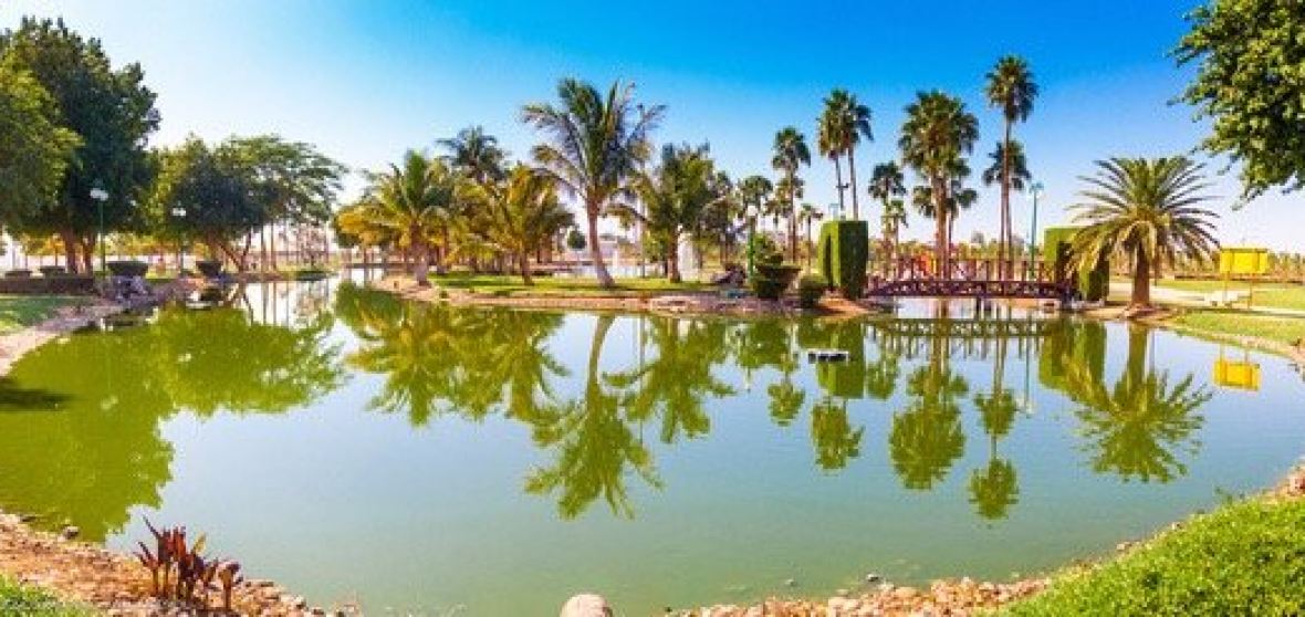 Things to do in Yanbu (2025): Top nearby activities,popular attractions ...