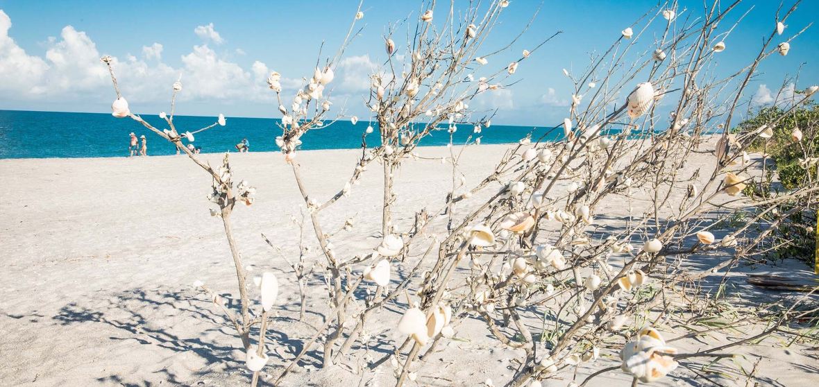 Manasota Key Travel Guide 2025: Top Attractions, Things to Do & Deals ...