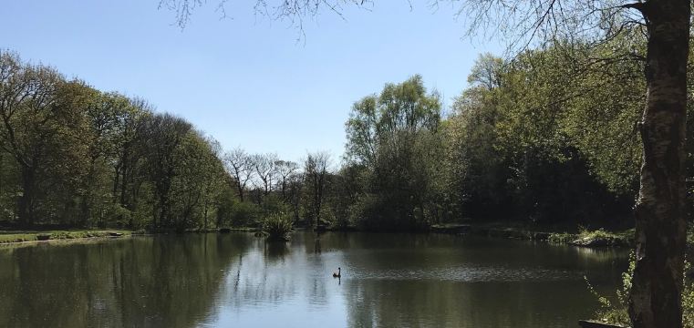 Things to do in Grimethorpe (2025): Top nearby activities,popular ...