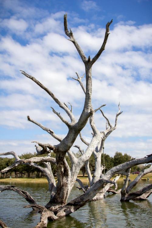 Cheap Motels in Victoria County - Reviews, Deals & Photos | Trip.com