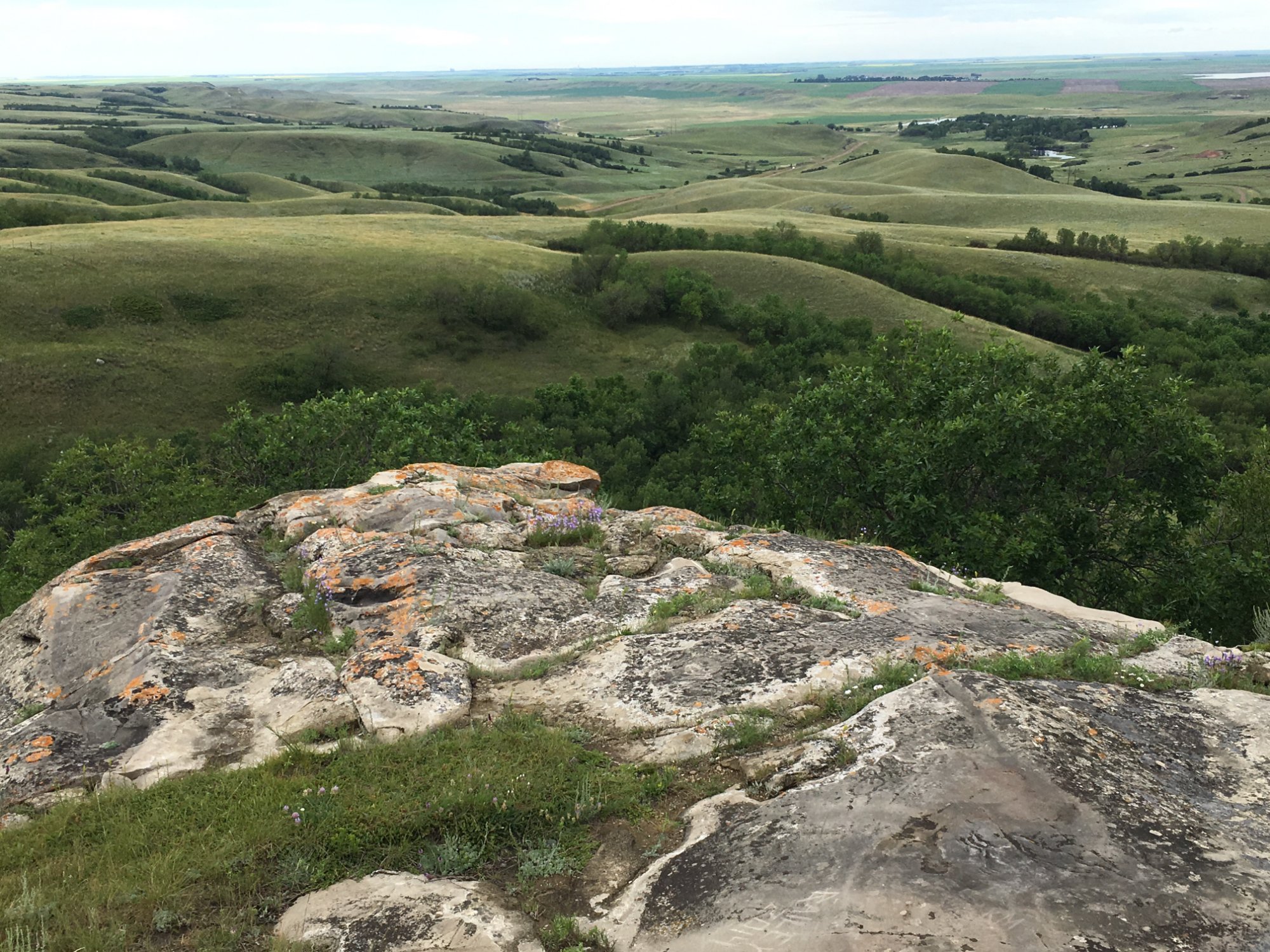 St Victor S Petroglyphs Provincial Historic Park скидки на билеты