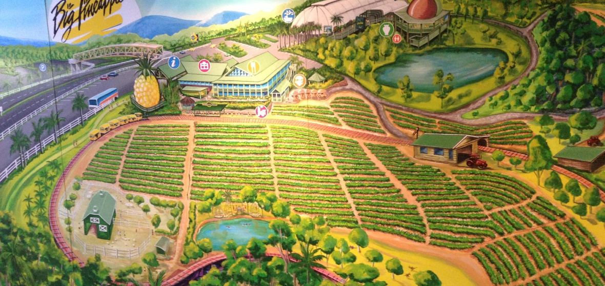 Things to do in Woombye (2025): Top nearby activities,popular ...