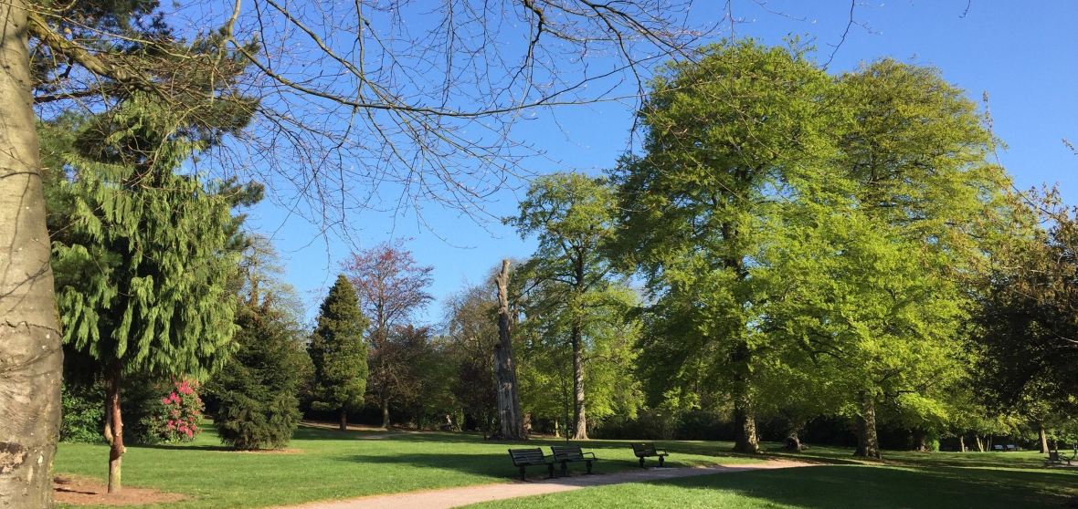 Things to Do in Sandwell District in 2025 - Top Attractions, Local Food ...