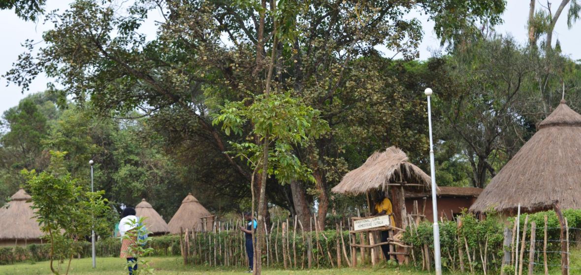 Things to Do in Kitale in 2025 - Top Attractions, Local Food, Hotels ...