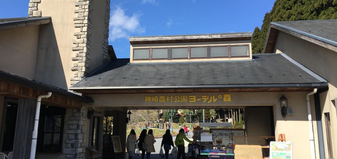 Things to do in Kamikawa (2025): Top nearby activities,popular ...