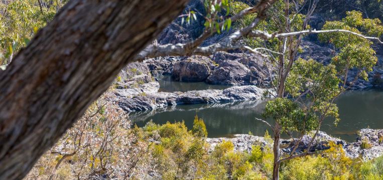 Things to Do in Boorook in 2025 - Top Attractions, Local Food, Hotels ...