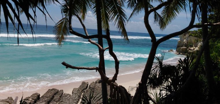 Things to do in West Sumba Regency (2025): Top nearby activities ...