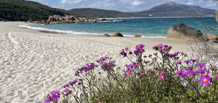 Cheynes Travel Guide 2026: Top Attractions, Things to Do & Deals | Trip ...